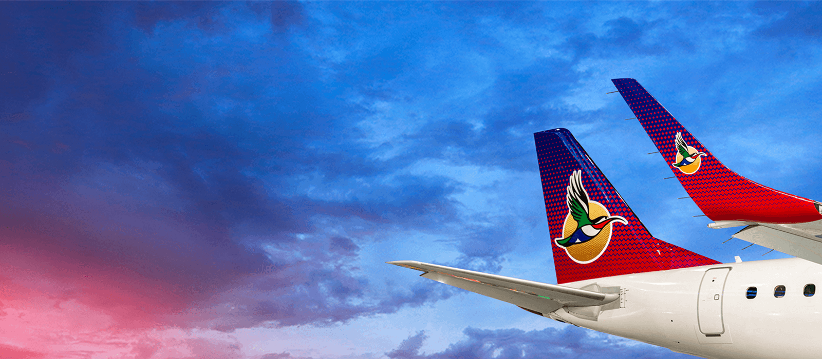 Southern Africa's Premier Air Freight Company | Airlink Cargo